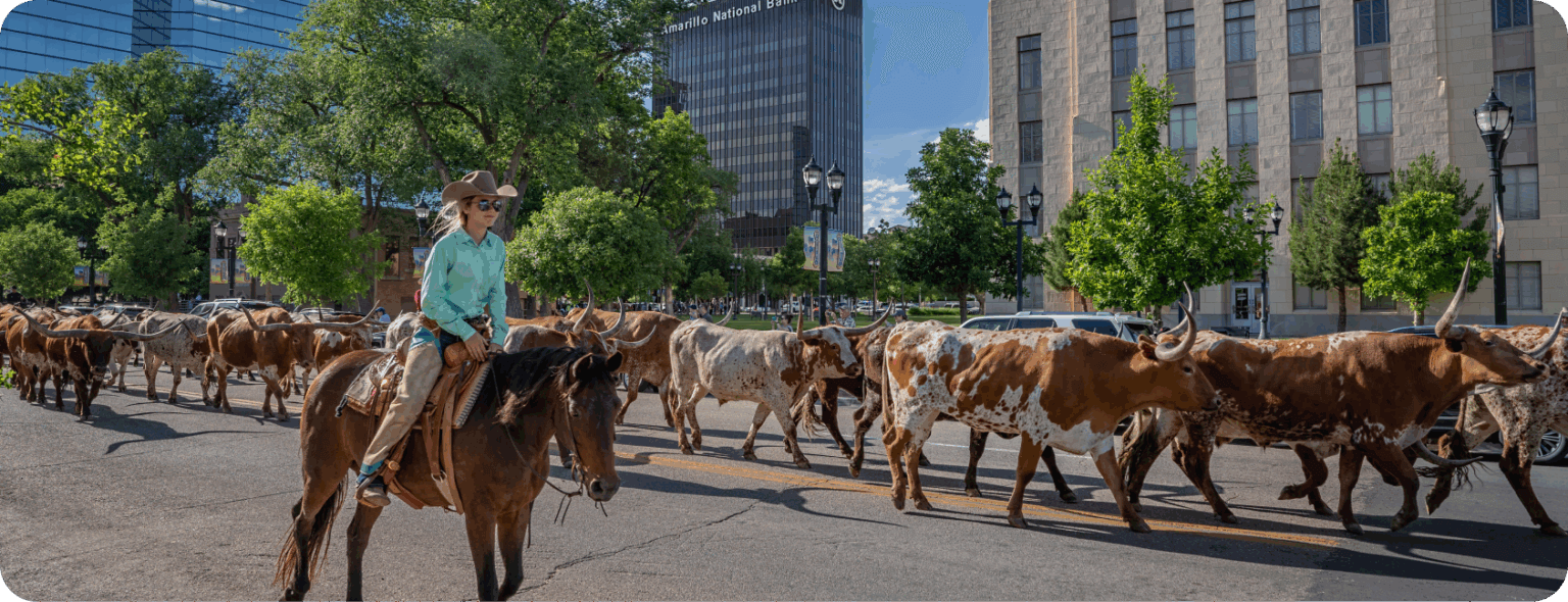 5 Destination Marketing Strategies & Ideas To Promote Tourism - CrowdRiff