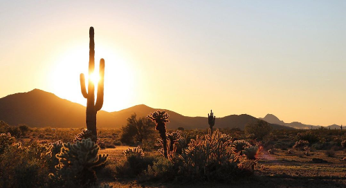 How DMOs Are Using CrowdRiff's Media Hub to Inspire Locals and Future ...