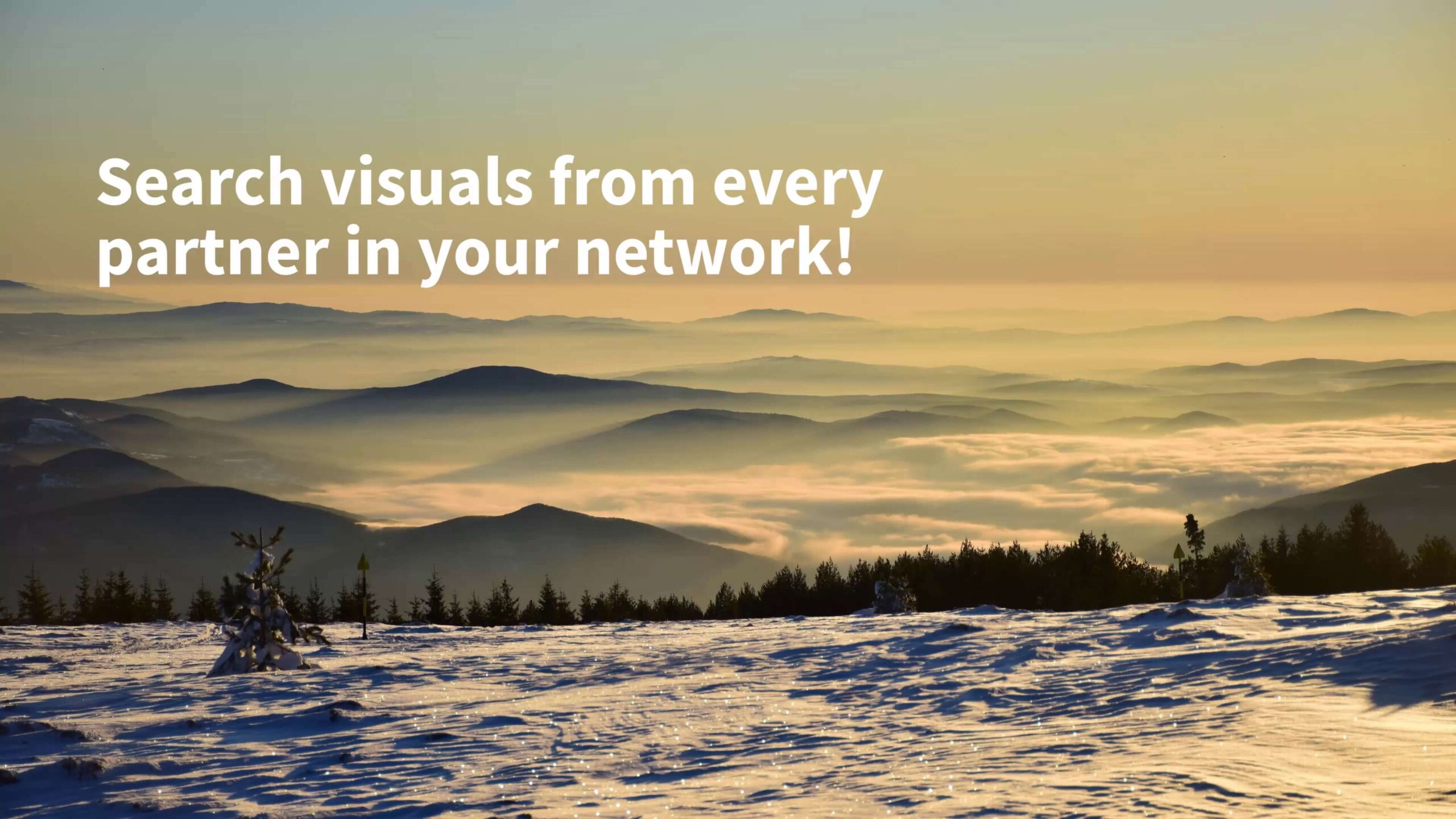 Partner Network Search - CrowdRiff